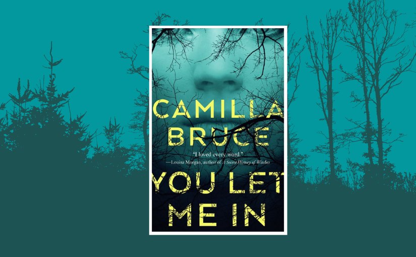 YOU LET ME IN out in paperback in the US! – Camilla Bruce